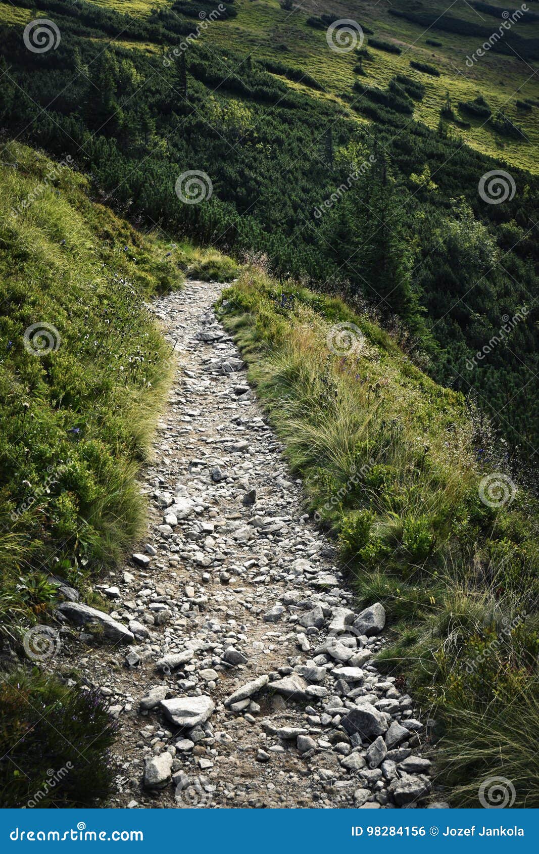 Stone Walkway in the Mountains Stock Photo - Image of white, stone ...
