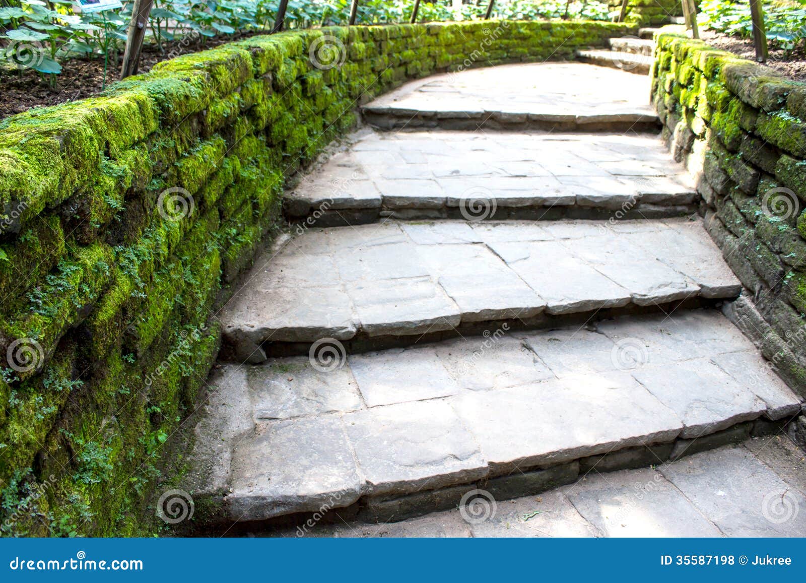 Stone Walkway with Old Green Rustic Moss Grass Stock Photo - Image of ...