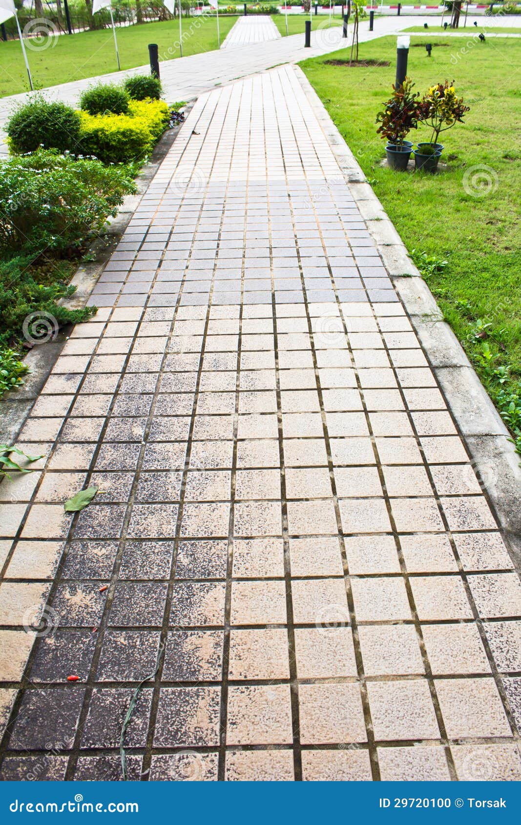Walkway in the park stock photo. Image of grass, environment - 29720100