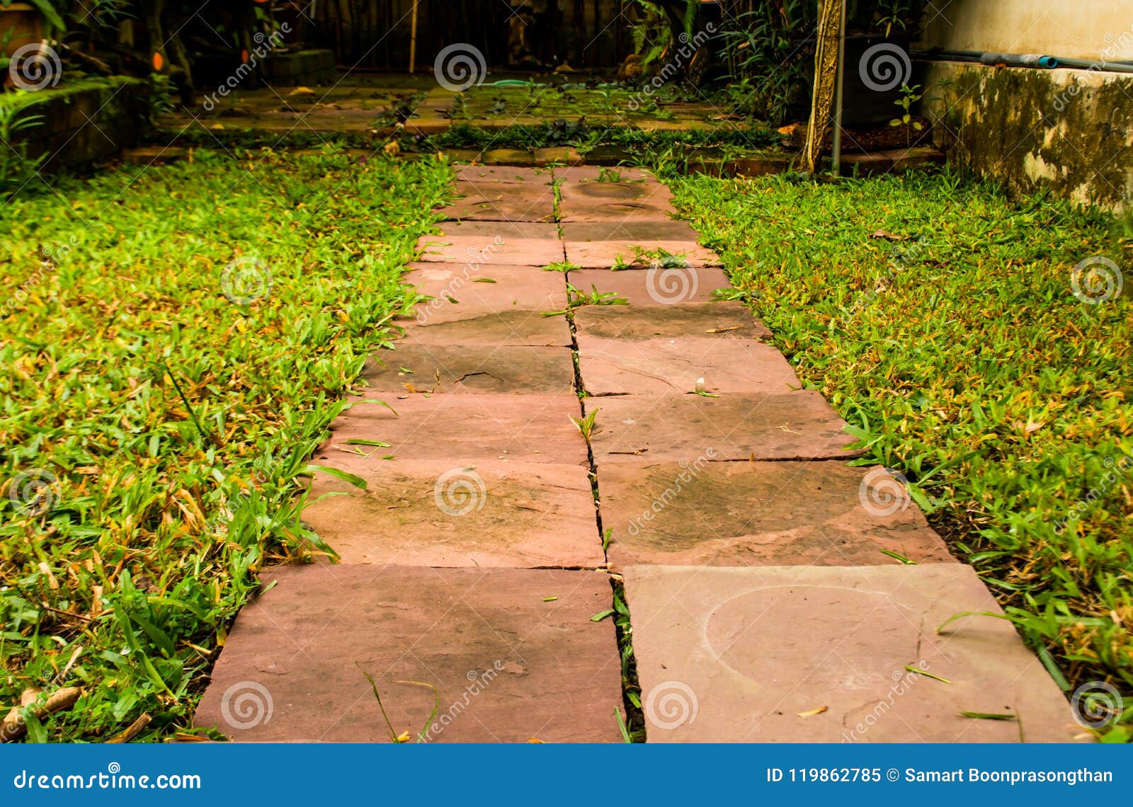 Stone Walkway in the Park on the Grass. Stock Image - Image of nature ...