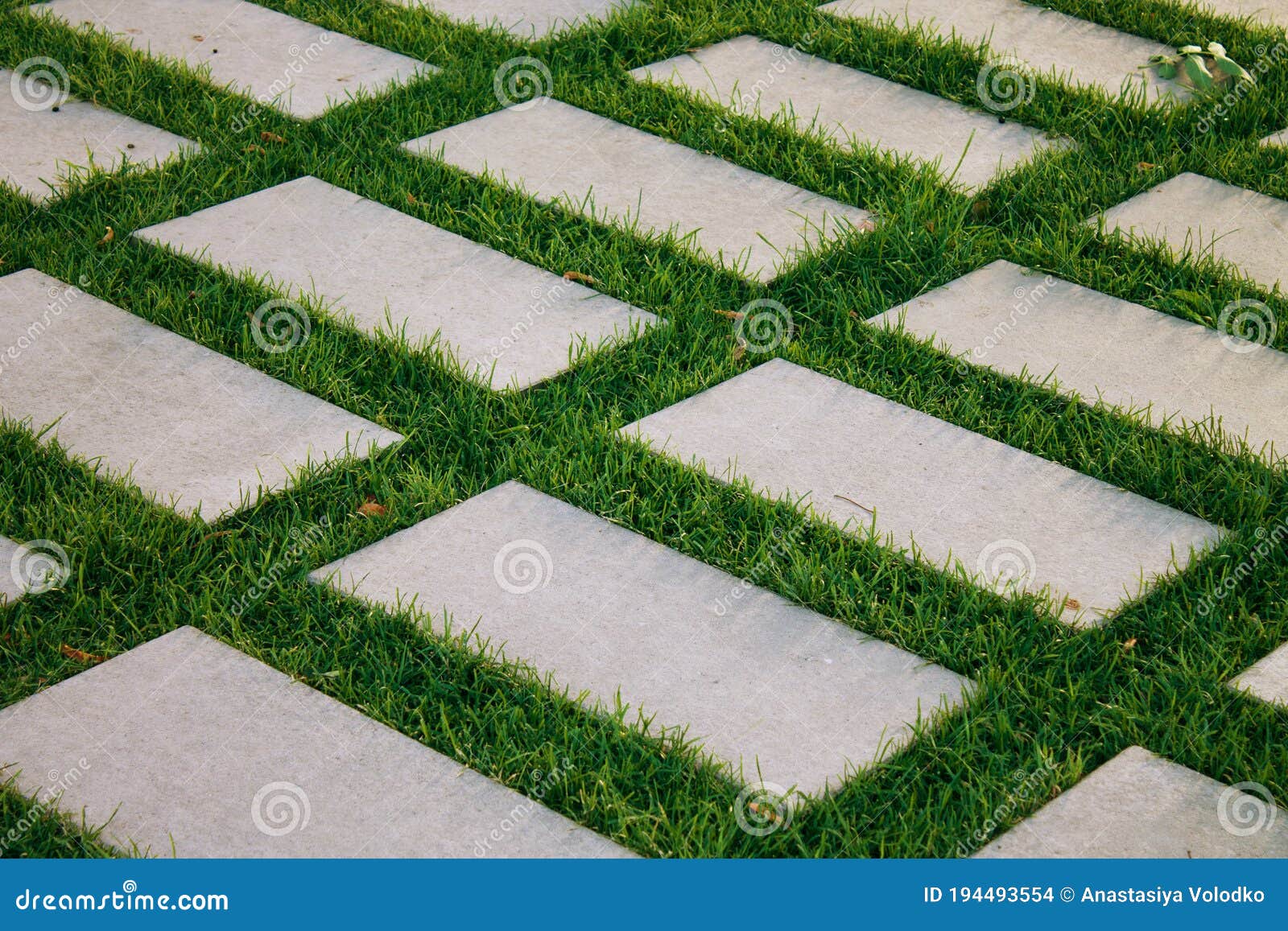 Stone Walkway in the Park. Green Grass Texture Stock Photo - Image of ...
