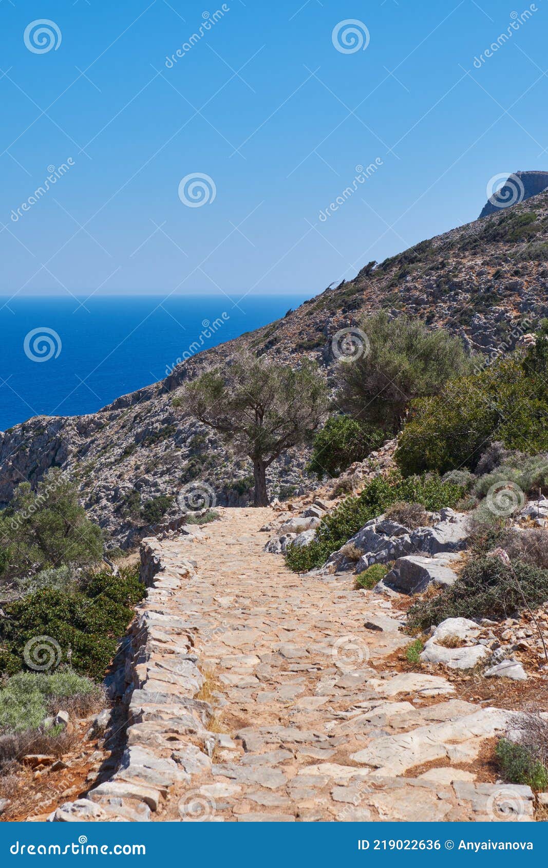 Stone Walkway, Pathway at the Cliffs of the Mediterranean Sea Stock ...