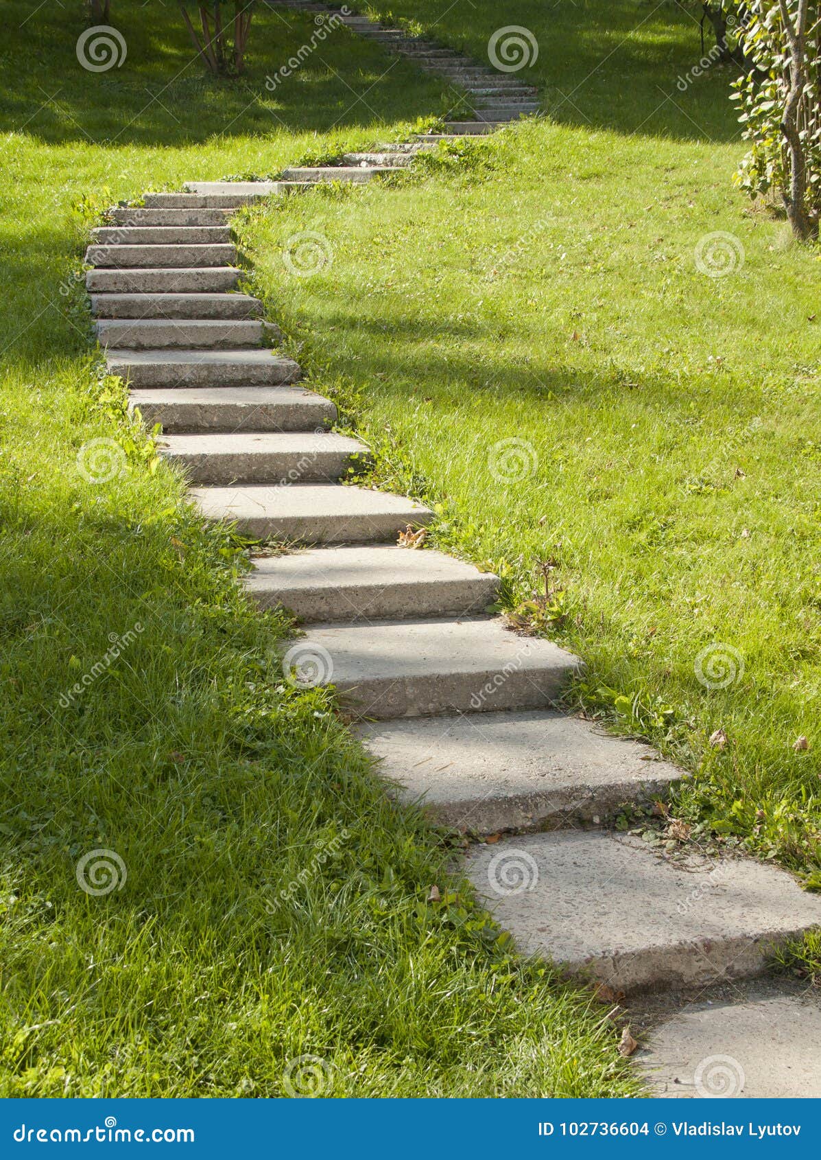 Pathways With Green Lawns, In The Garden. Top View Of Curve Walkway On ...