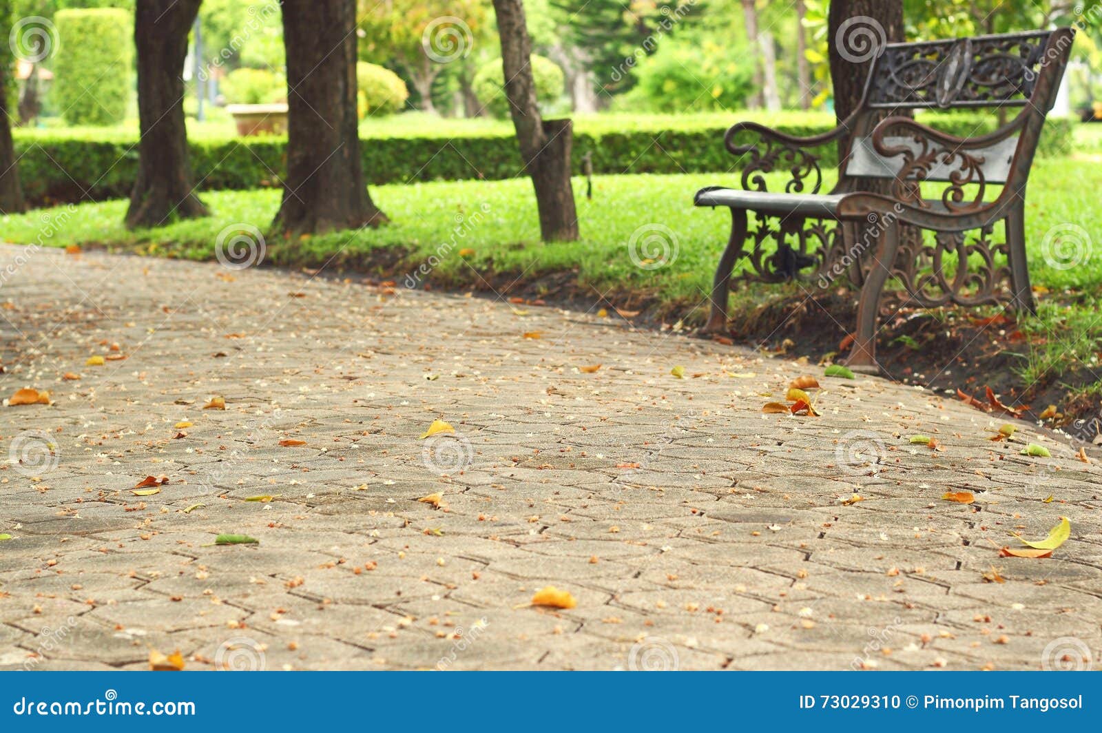 Stone walkway texture stock photo. Image of park, cobblestone - 73029310