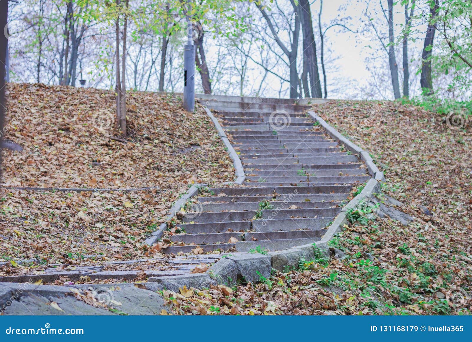 Stone Walkway Track in the Park Stock Image - Image of forest, easy ...