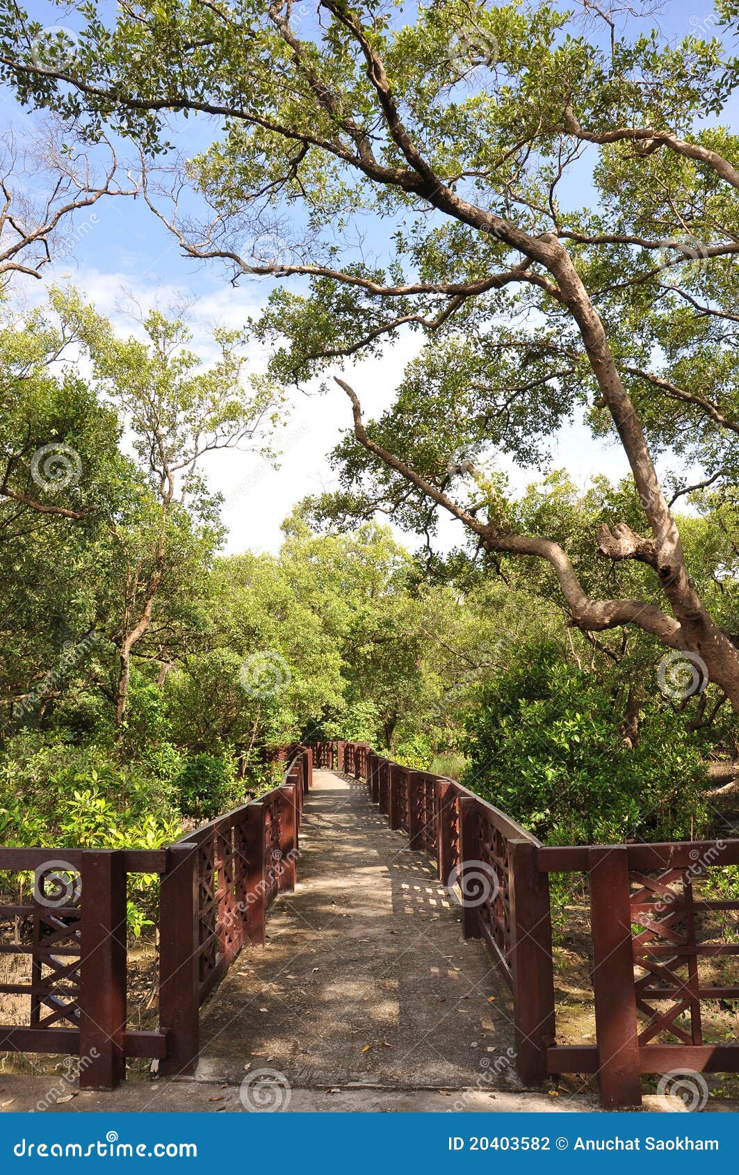 Stone Walkway Winding in Garden Stock Photo - Image of grass, park ...