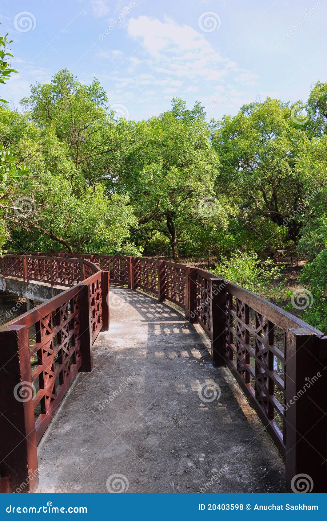 Stone Walkway Winding in Garden Stock Photo - Image of lifestyle ...