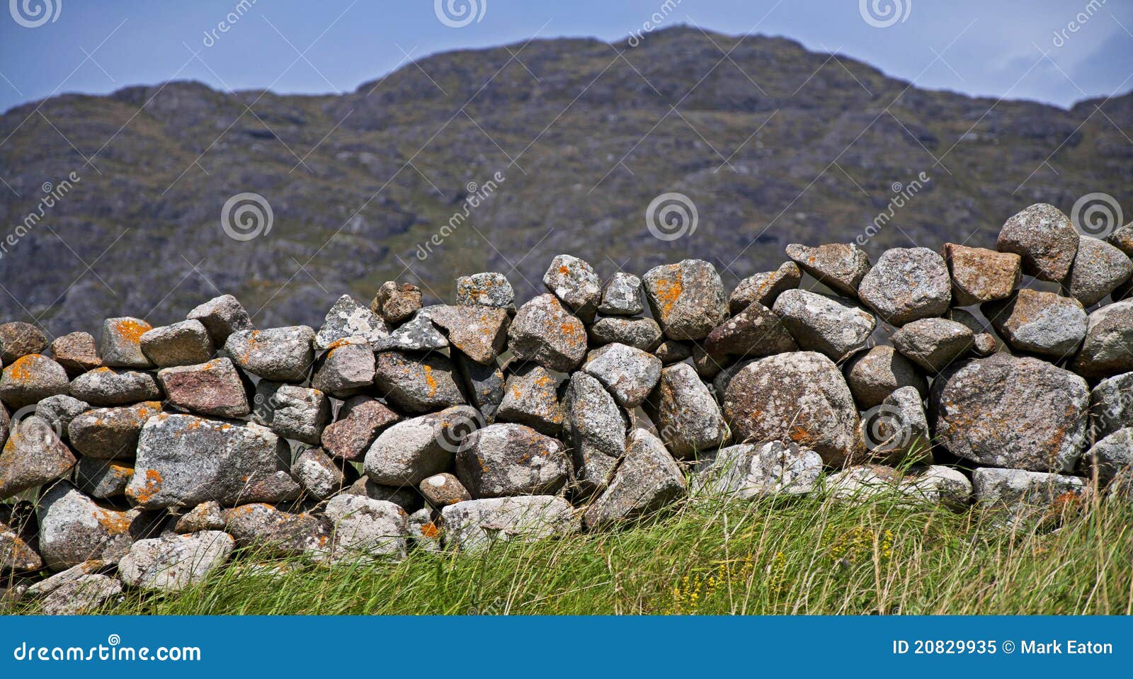 Stone Wall stock image. Image of defensive, barrier, green - 20829935