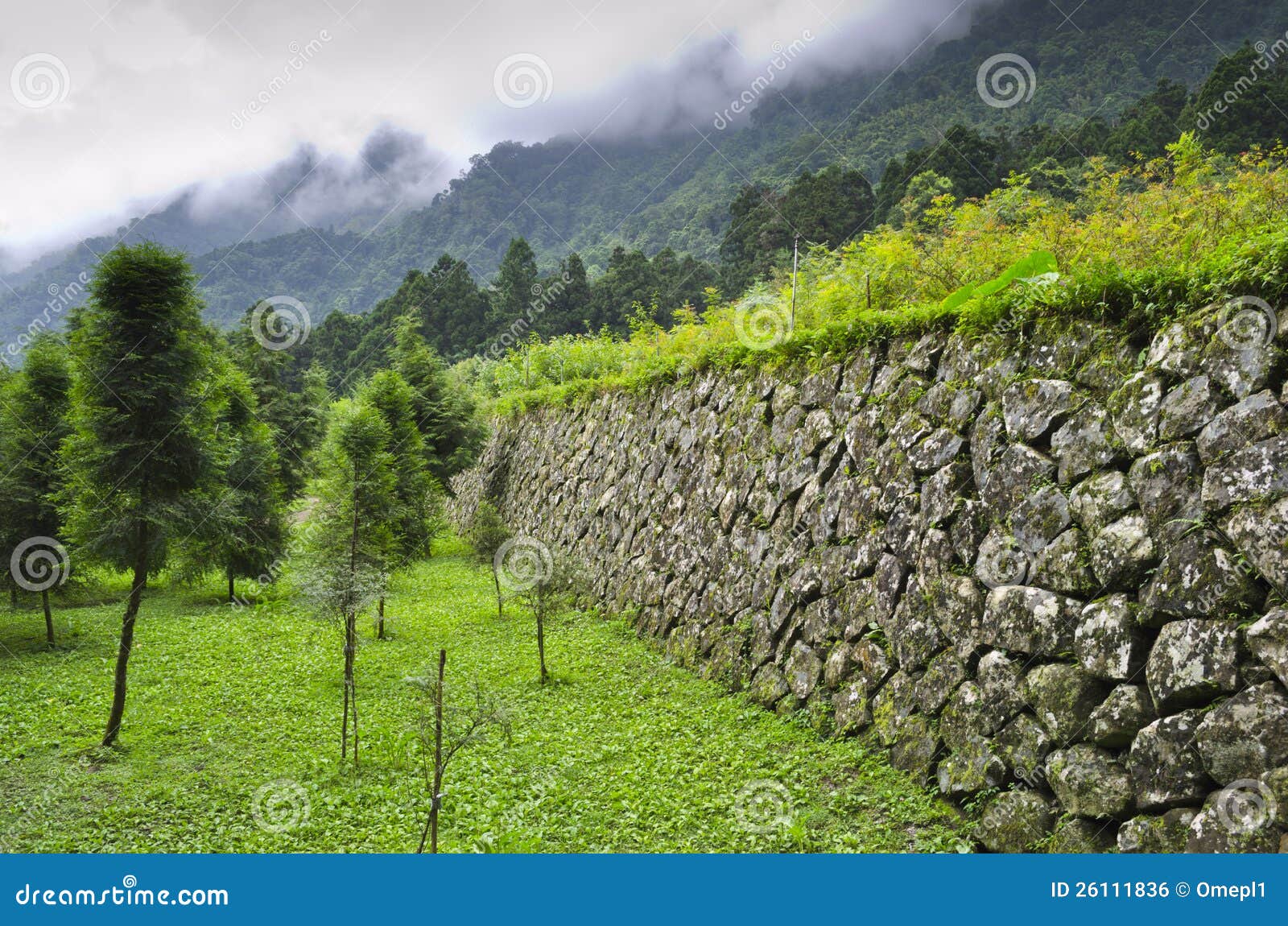 Stone Wall stock photo. Image of lichen, scenery, forest - 26111836