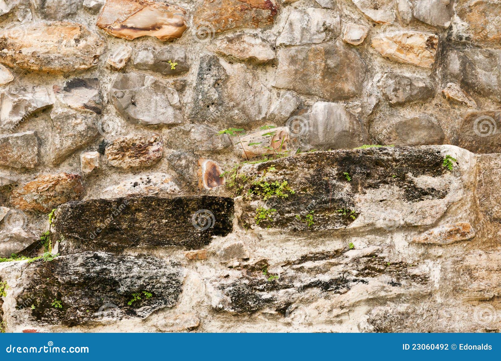Stone Wall - Altun Ha stock photo. Image of central, famous - 23060492