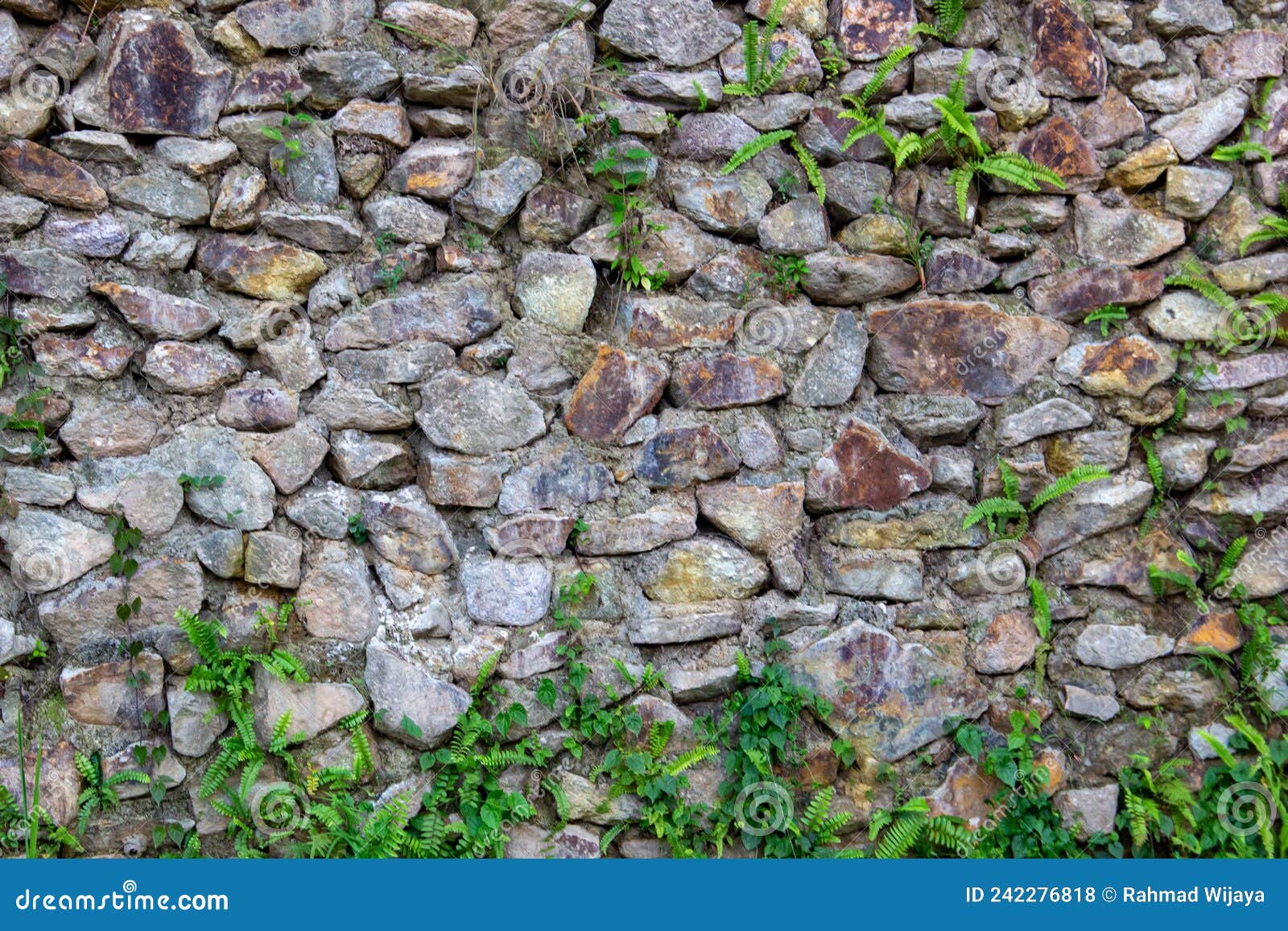 Stone Wall Background with Green Grass Stock Photo - Image of brickwork ...