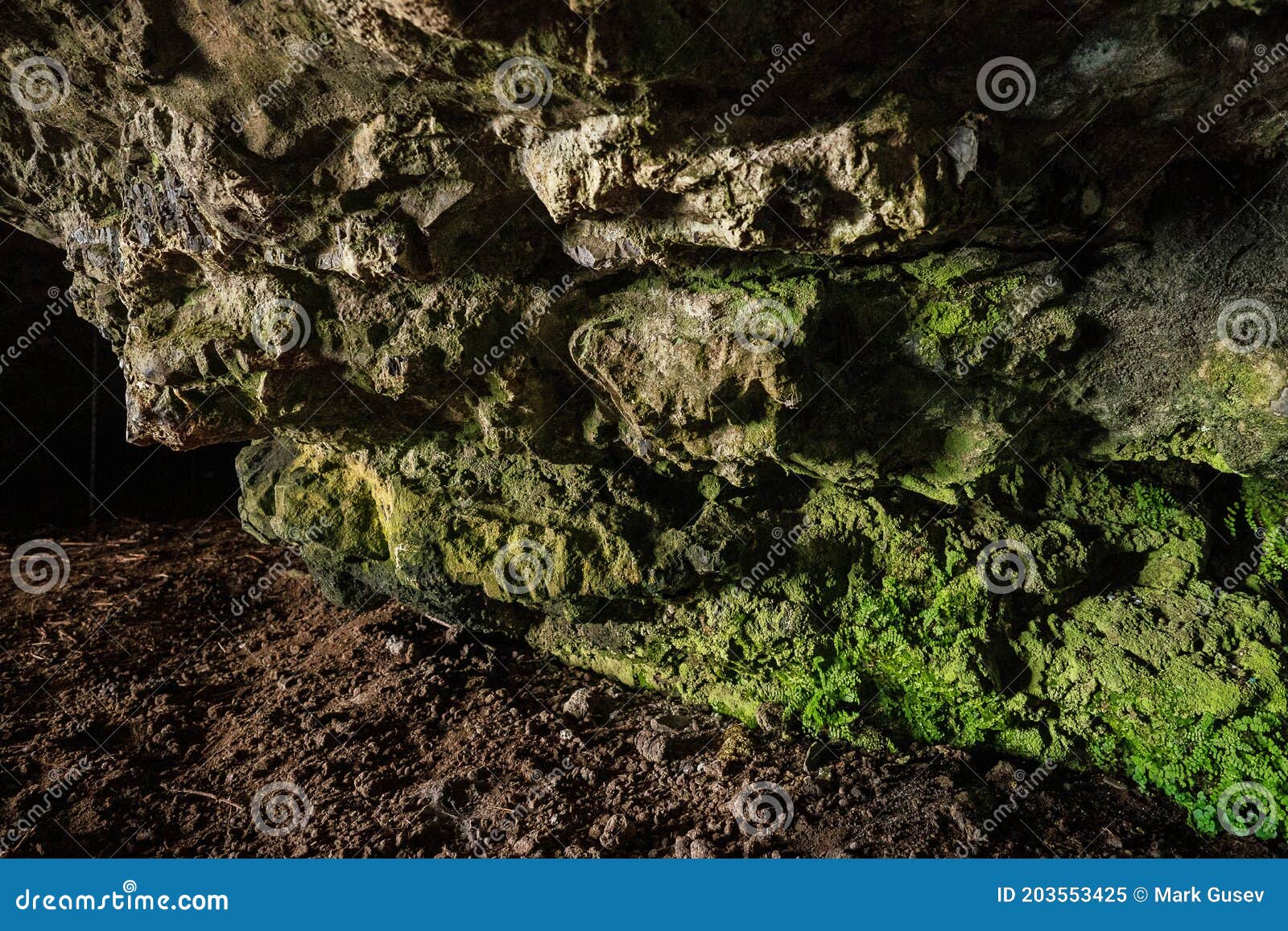Stone wall in a cave, stock image. Image of environment - 203553425