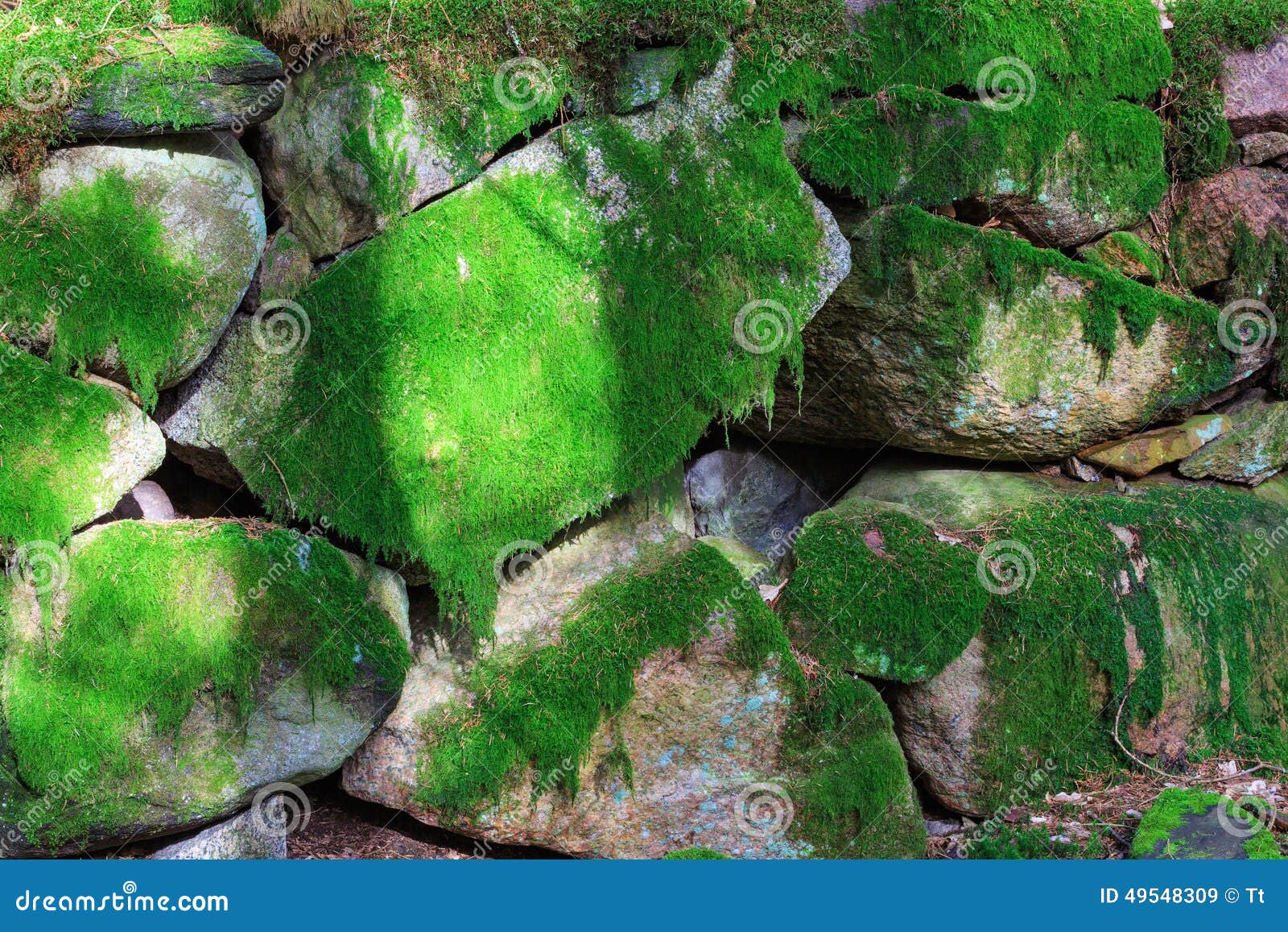 Stone Wall Coverd with Moss Stock Image - Image of background, rock ...