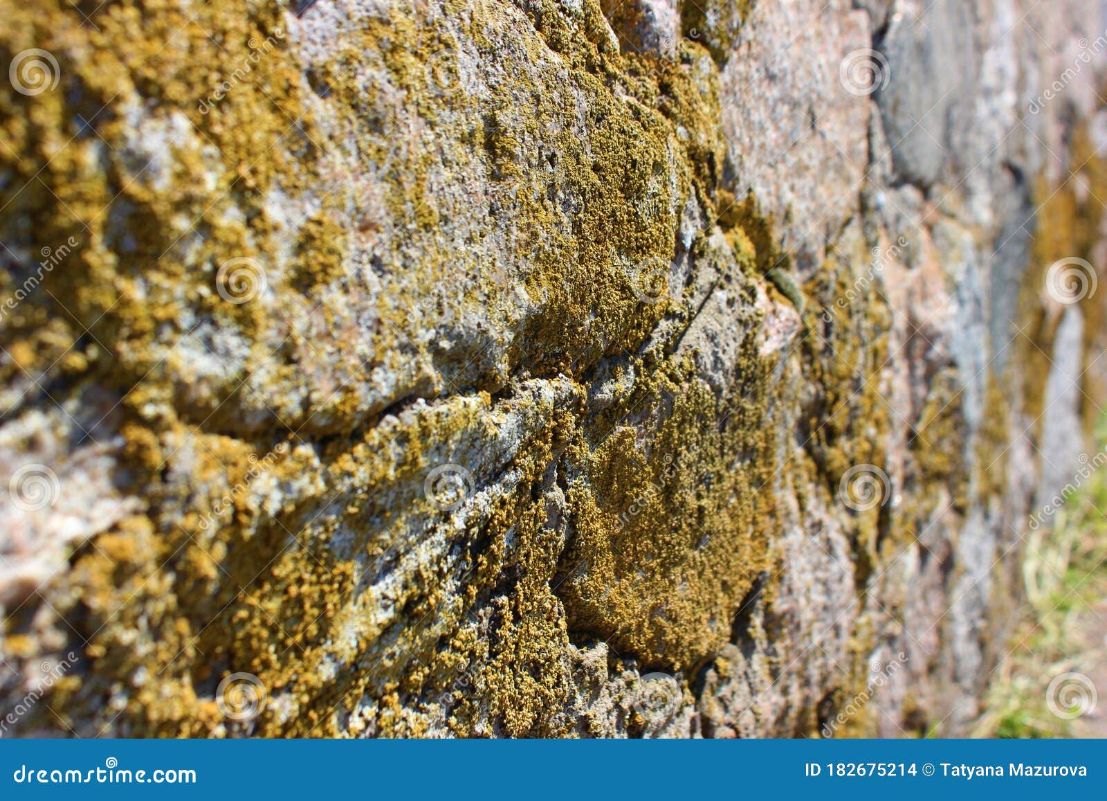 Stone Wall Covered with Lichen. Stone Background Covered with Lichen ...