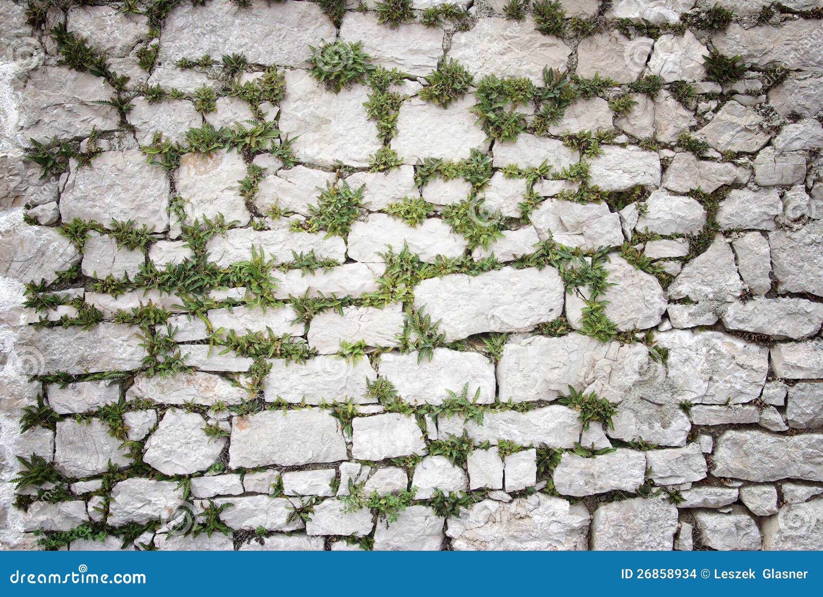 Stone Wall Covered Moss and Plants Texture Background Stock Photo ...