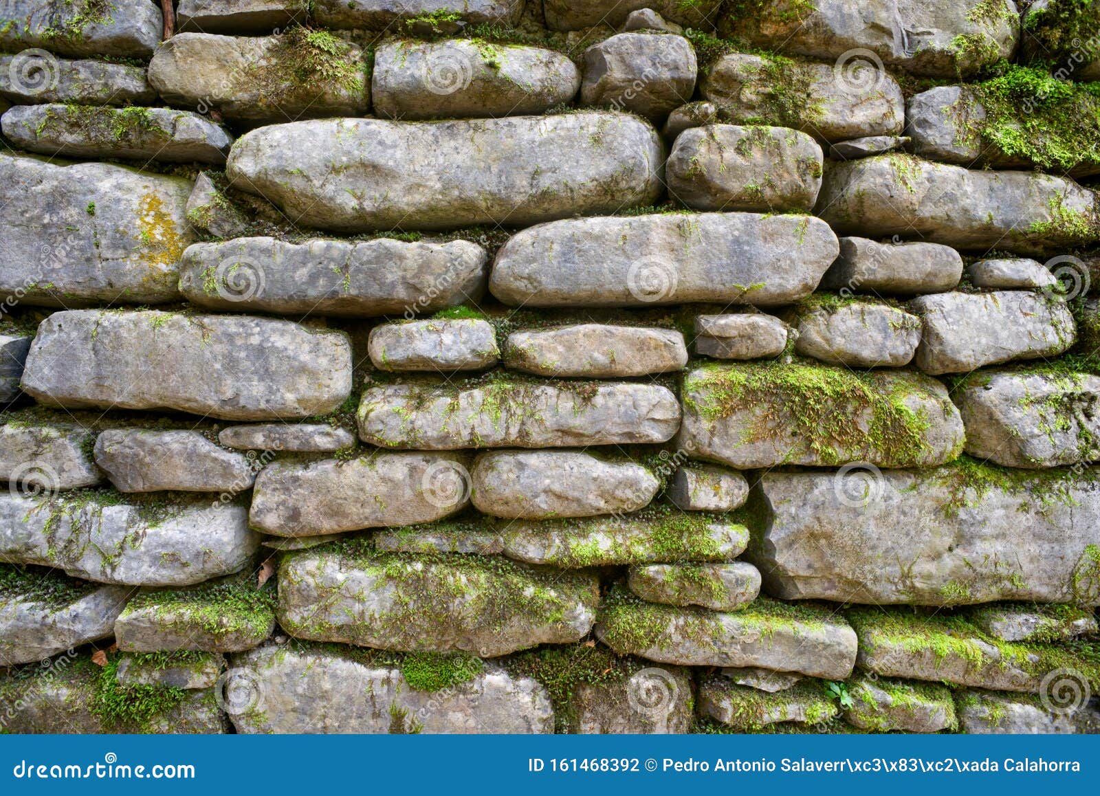 Stone wall view stock photo. Image of abstract, green - 161468392