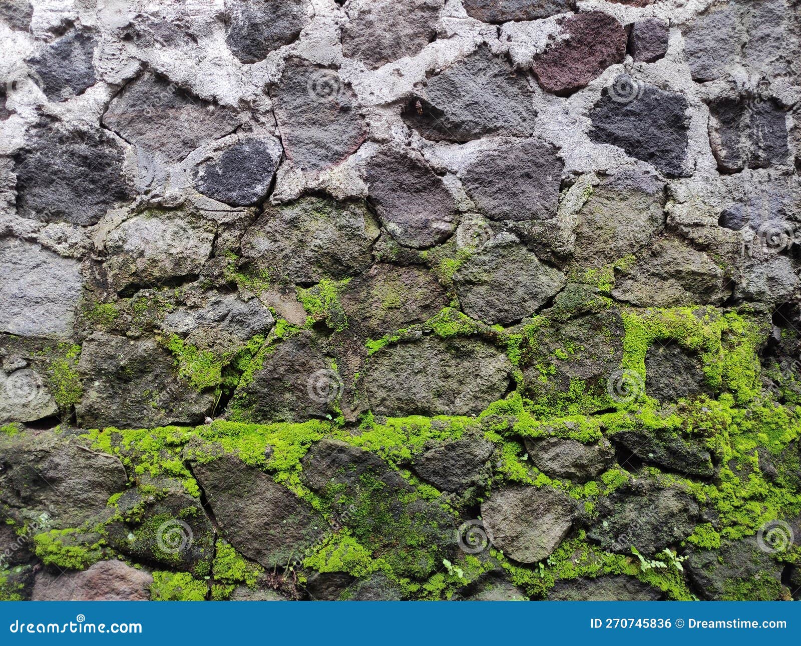 Stone Wall Exposed and Not Exposed To Moss Stock Photo - Image of stone ...
