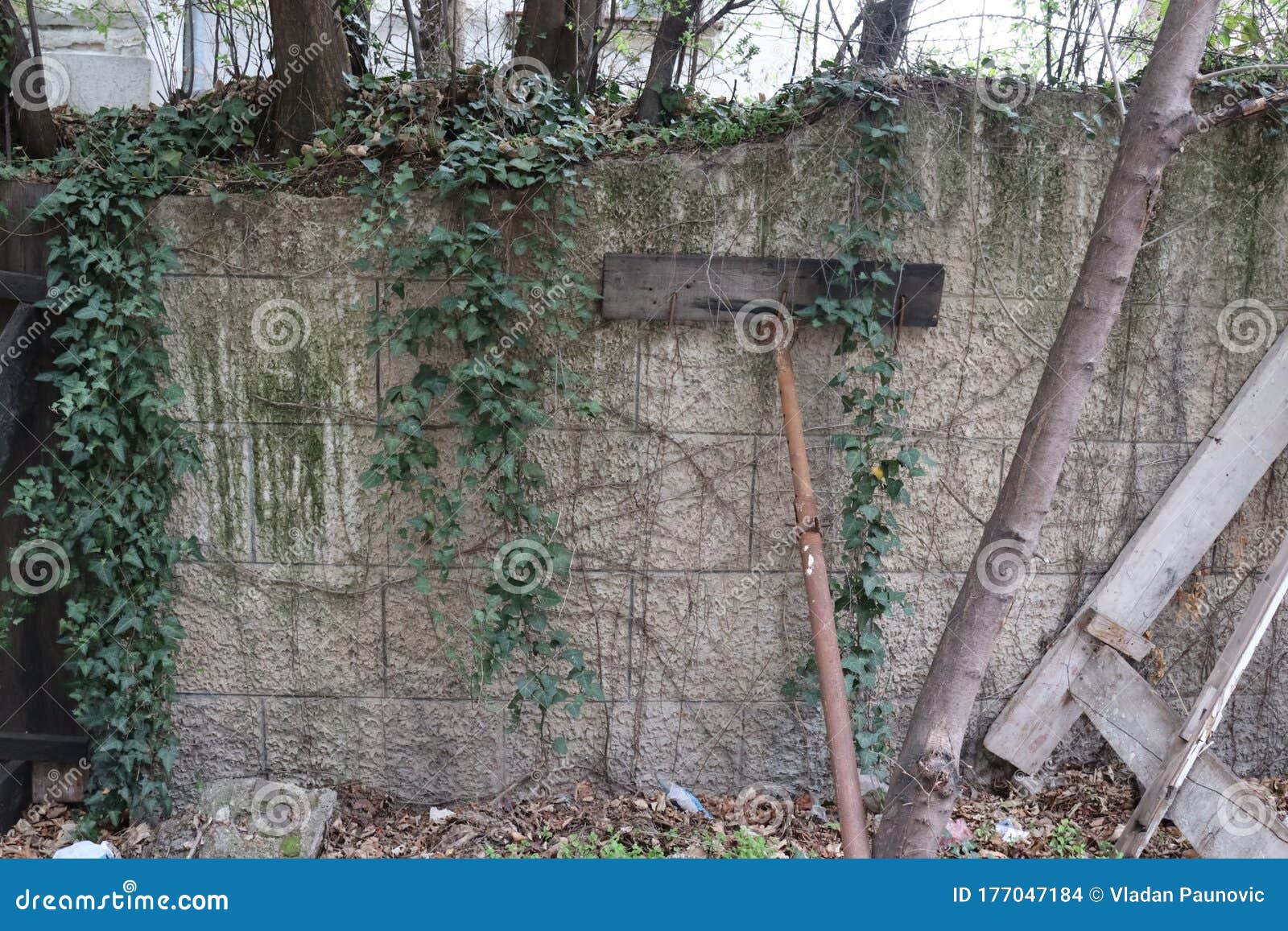 Stone wall falling stock photo. Image of plants, nature - 177047184