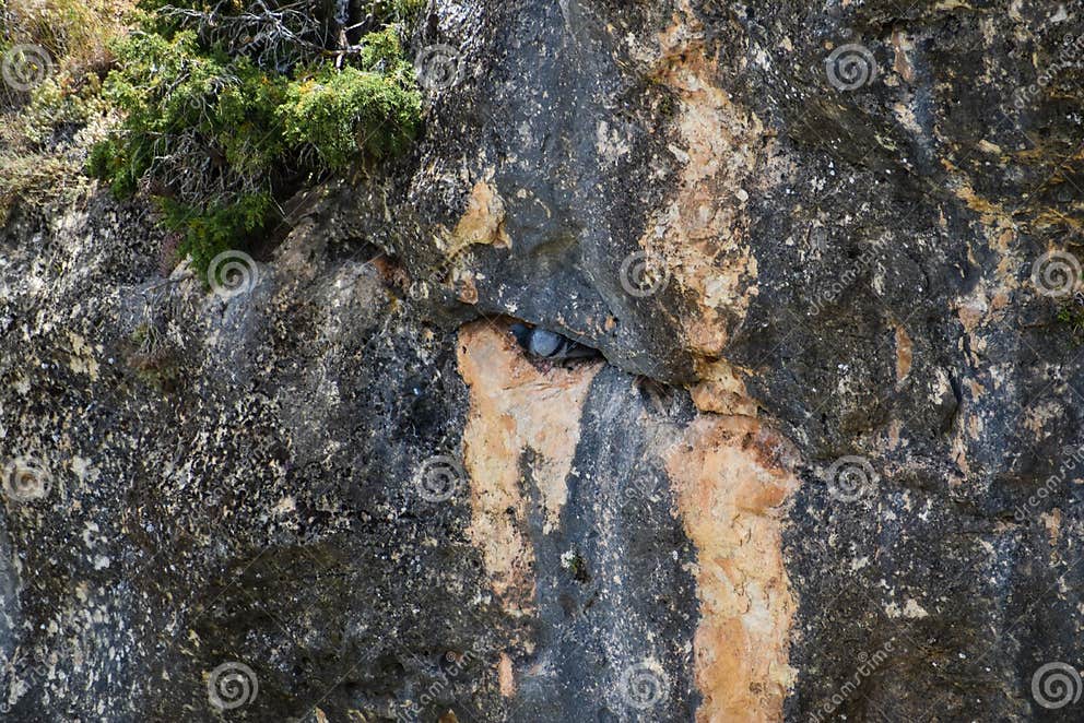 Stone Wall in Field of Cuenca Stock Image - Image of grass, mountain: 251230921