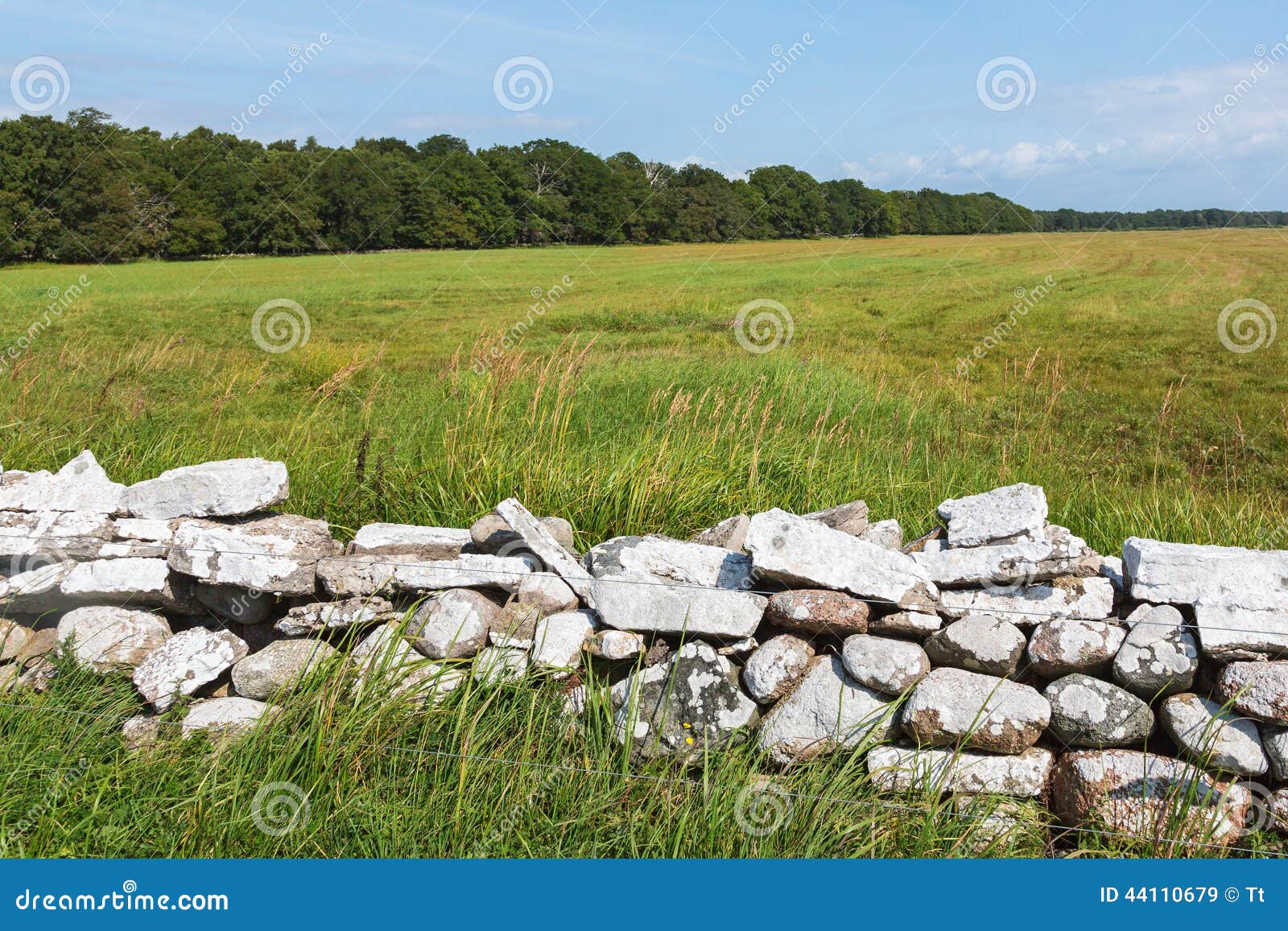 Stone wall on the field stock image. Image of horizons - 44110679