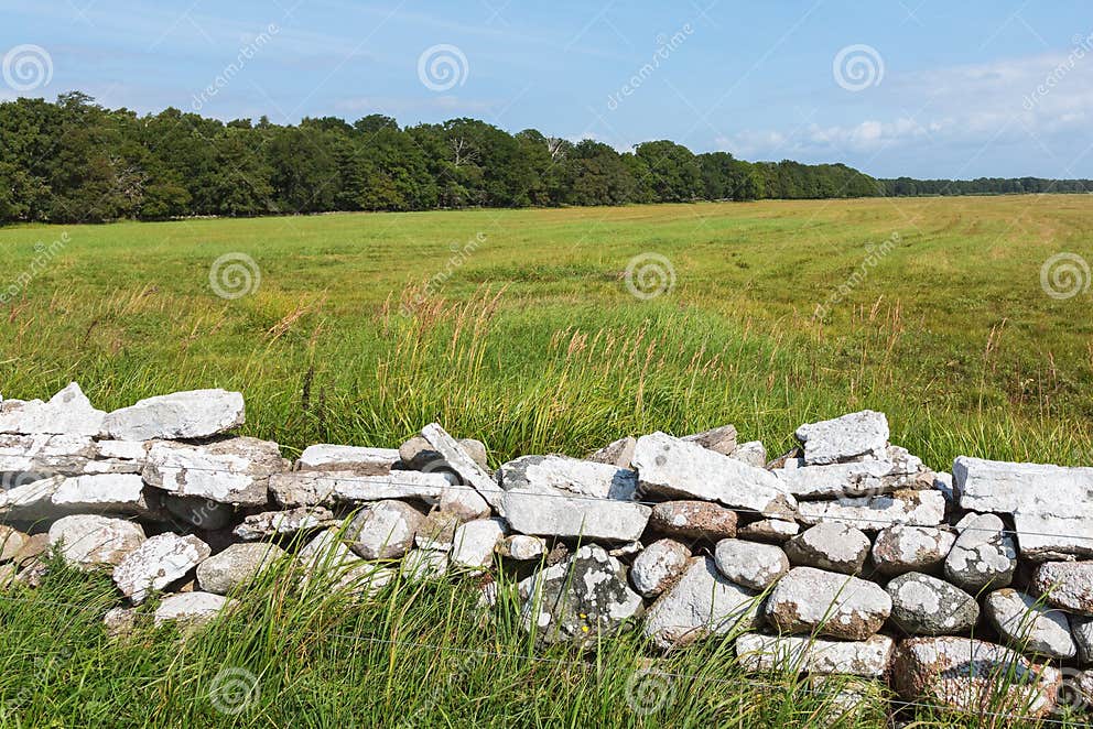 Stone wall on the field stock image. Image of horizons - 44110679