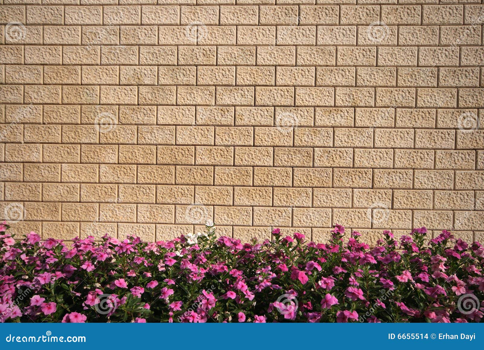 Stone wall and flowers stock photo. Image of detail, pattern - 6655514