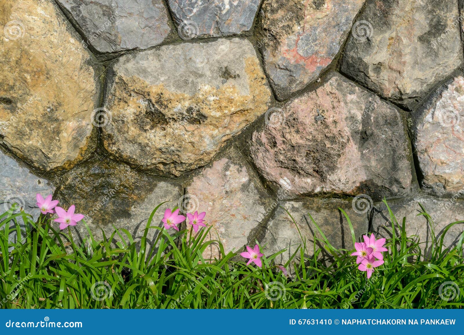 Stone wall with flowers stock photo. Image of house, texture - 67631410