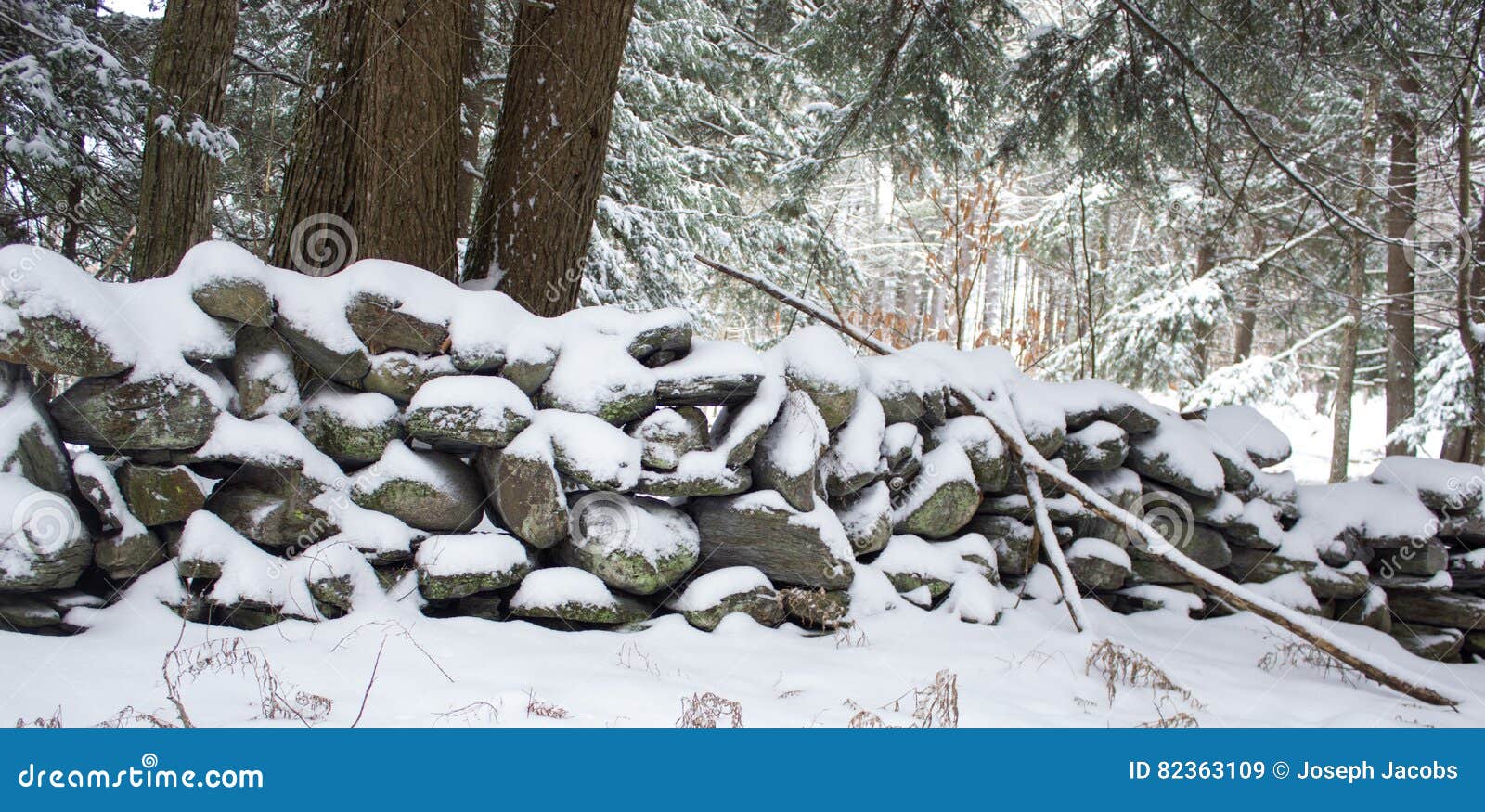 Stone Wall in Forest Covered in Snow Stock Image - Image of farmn ...