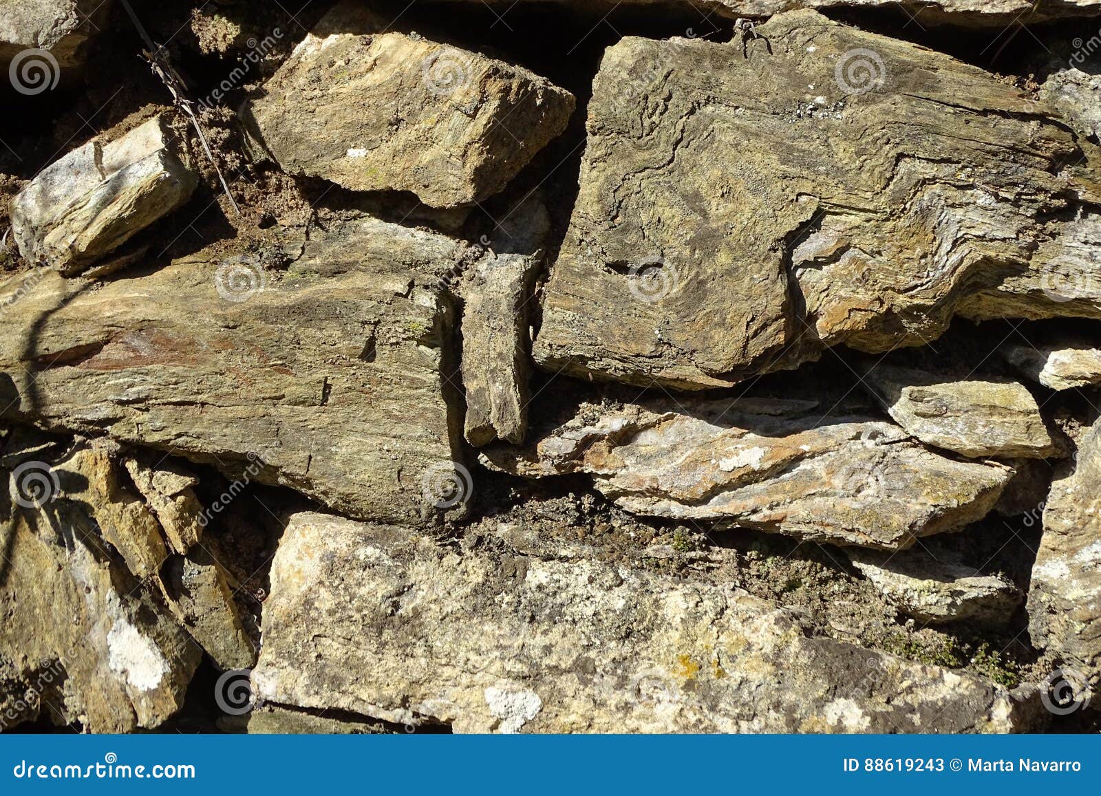 Stone wall in a forest stock image. Image of green, small - 88619243