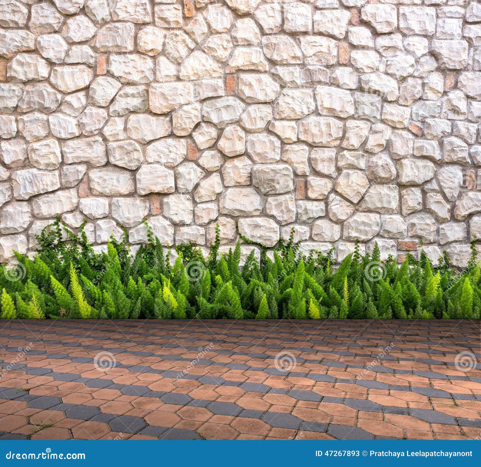 Stone Wall and Fox-tail on Cement Brick Floor Interior Modern Style ...