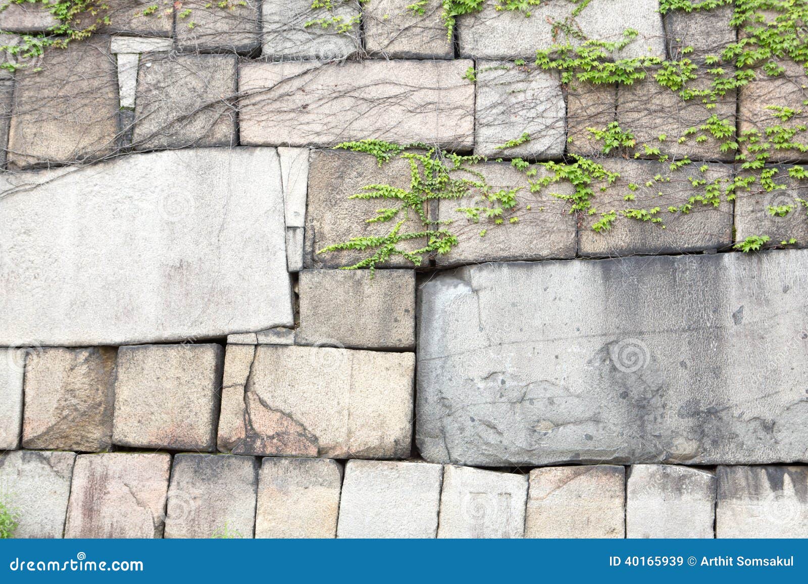 Stone wall stock image. Image of summer, leaf, architectural - 40165939