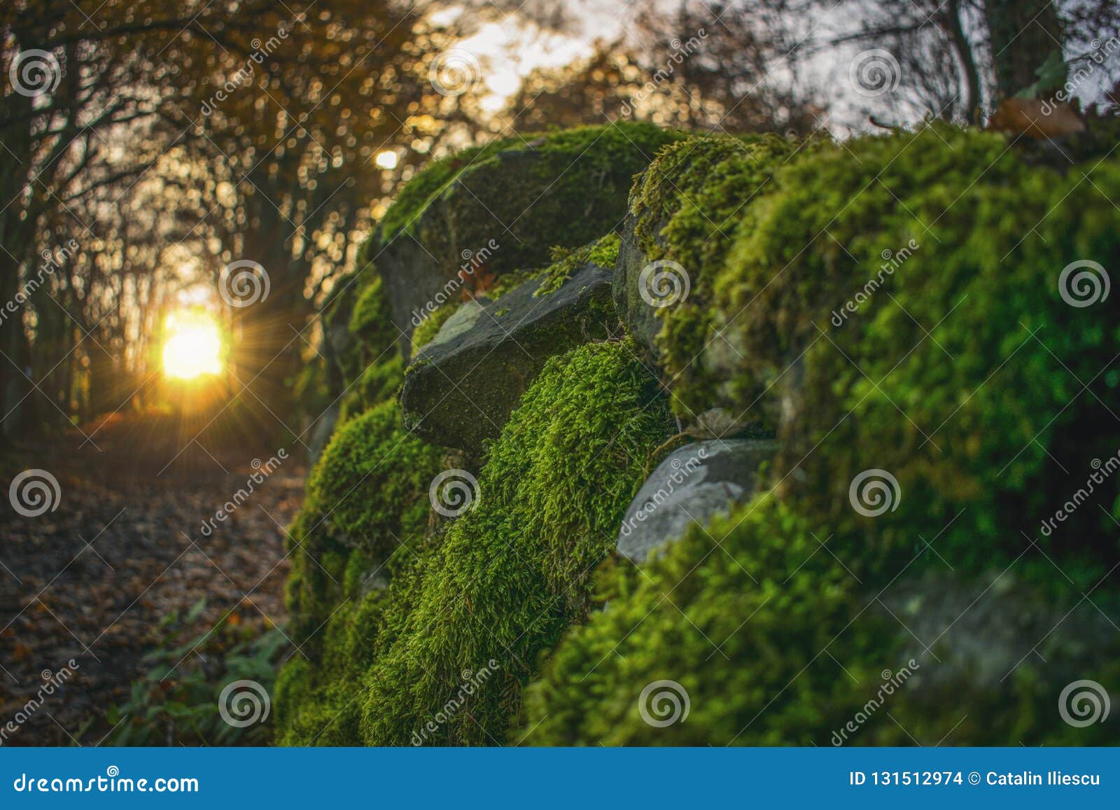 Stone Wall Full of Moss on a Walk Path Stock Photo - Image of creek ...