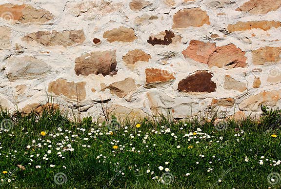 Stone Wall with Grass at Bottom. Stock Image - Image of view, farming ...