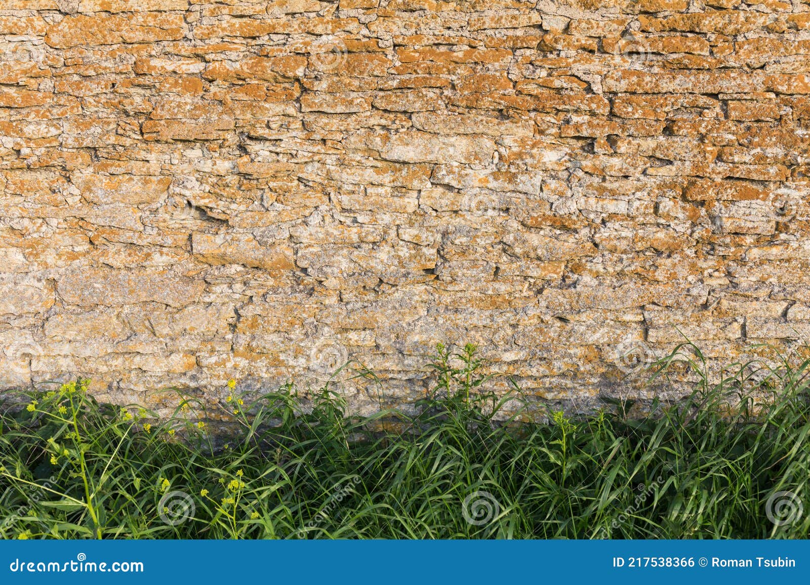 Stone wall with grass stock photo. Image of grass, masonry - 217538366