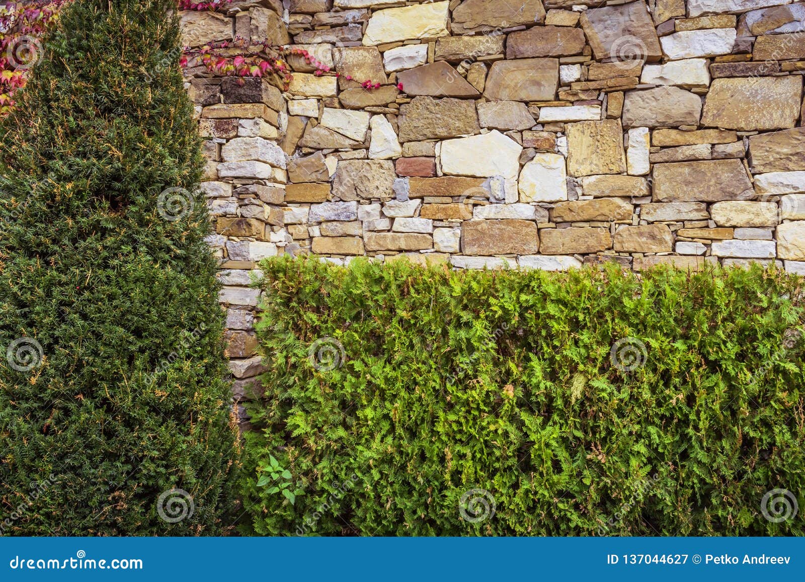 Stone Wall with Green Bushes Around it. Stock Image - Image of building ...