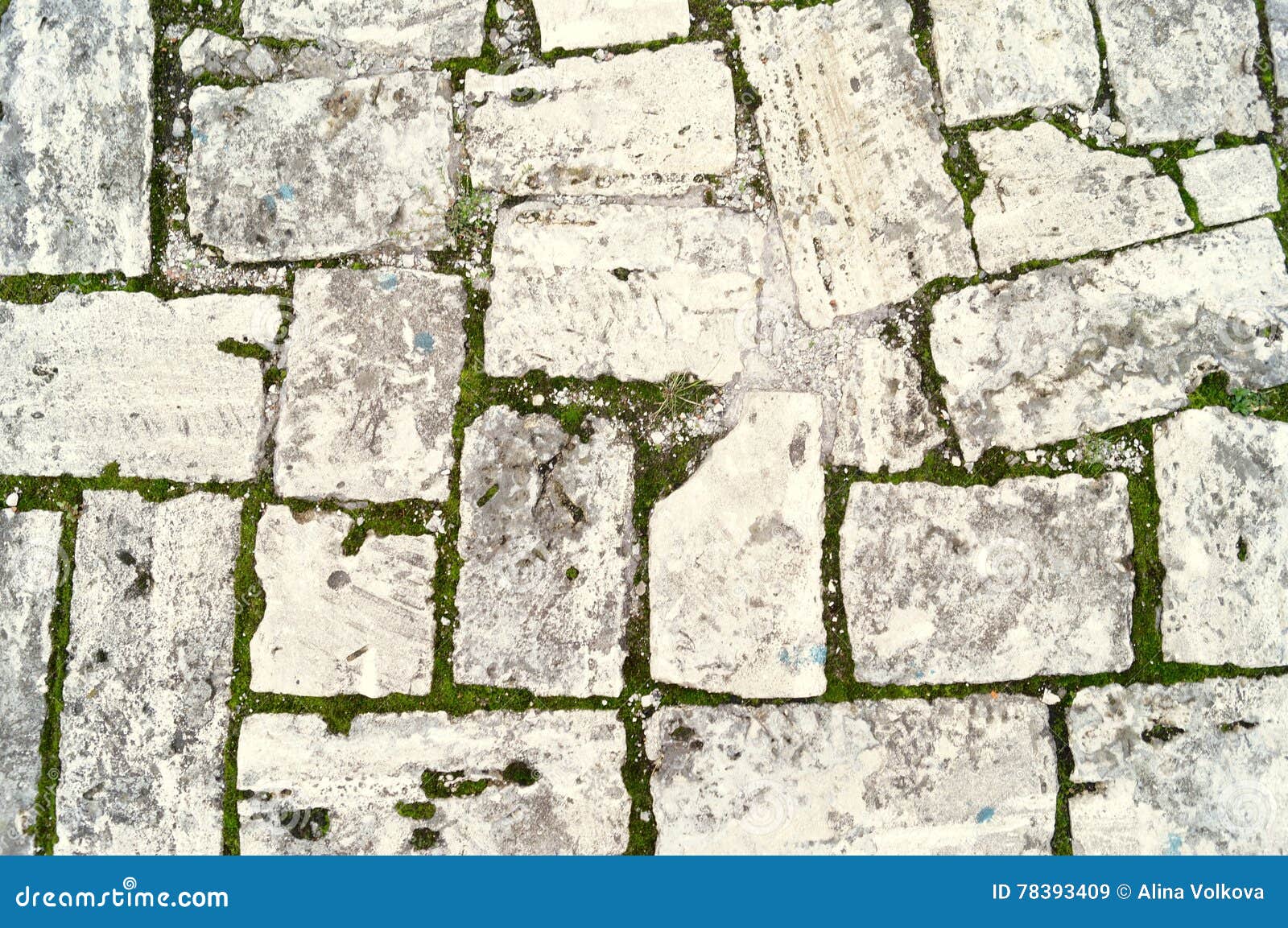 Stone Wall with Greenery. Nature Texture. Stock Image - Image of beauty ...