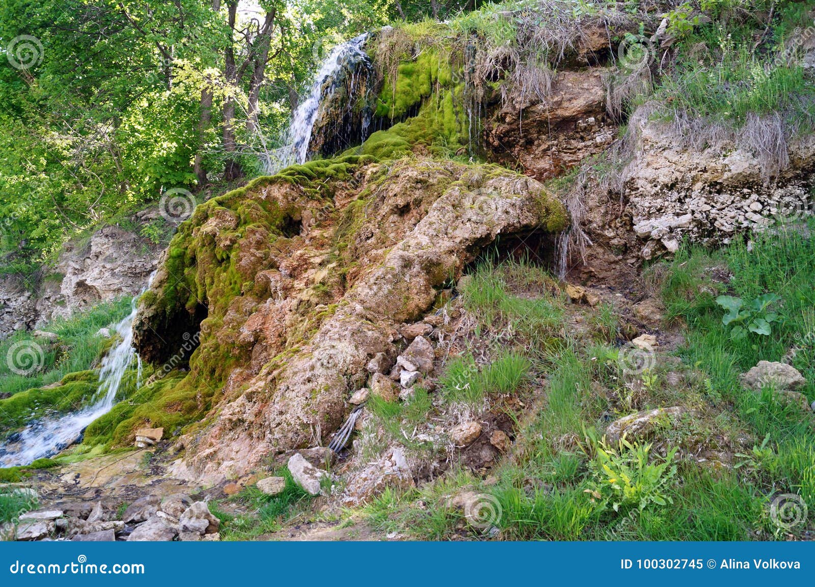 Stone Wall with Greenery and Waterfall. Texture of Nature. Background ...