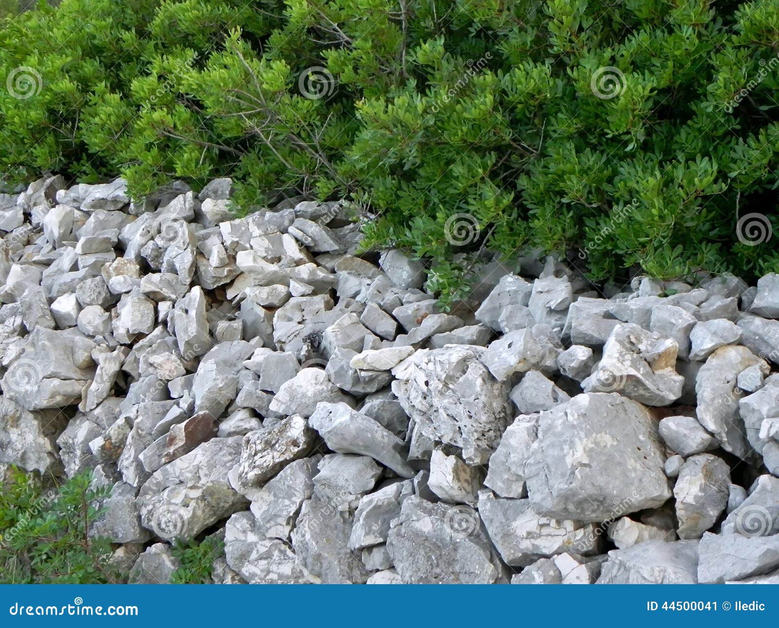 Stone Wall in Mediterranean Vegetation Stock Image - Image of ...