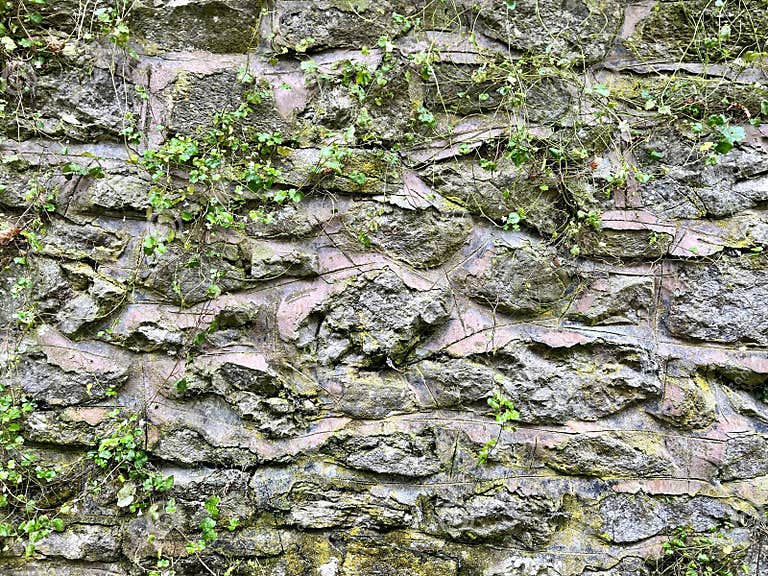 Stone Wall stock image. Image of green, leaves, uneven - 296016947