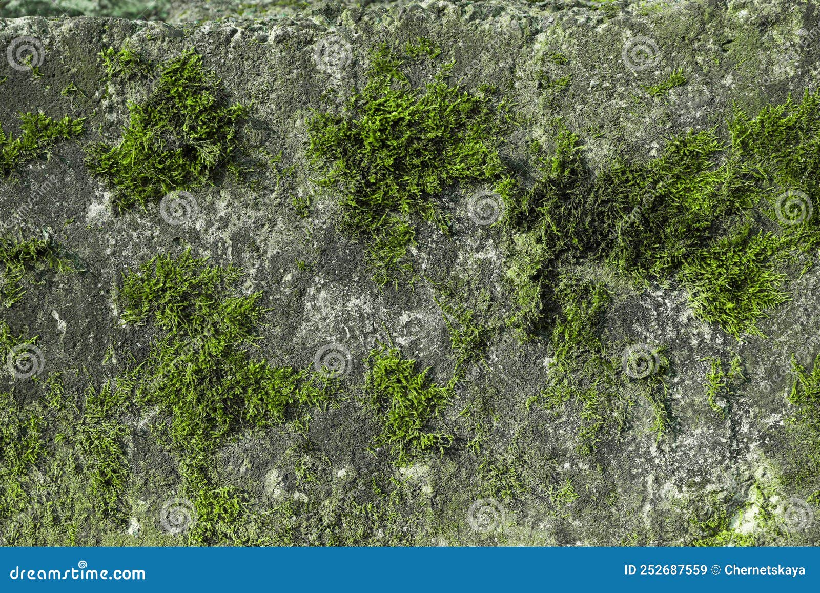 Stone Wall Overgrown with Green Moss, Closeup Stock Image - Image of ...