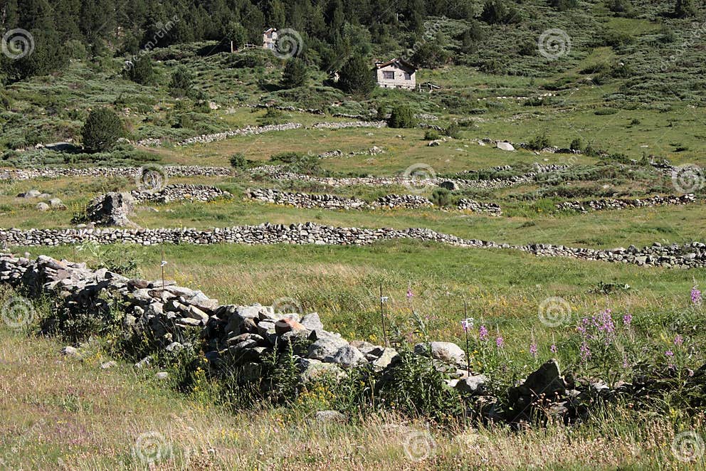 Stone wall in a pasture stock photo. Image of farming - 86093968