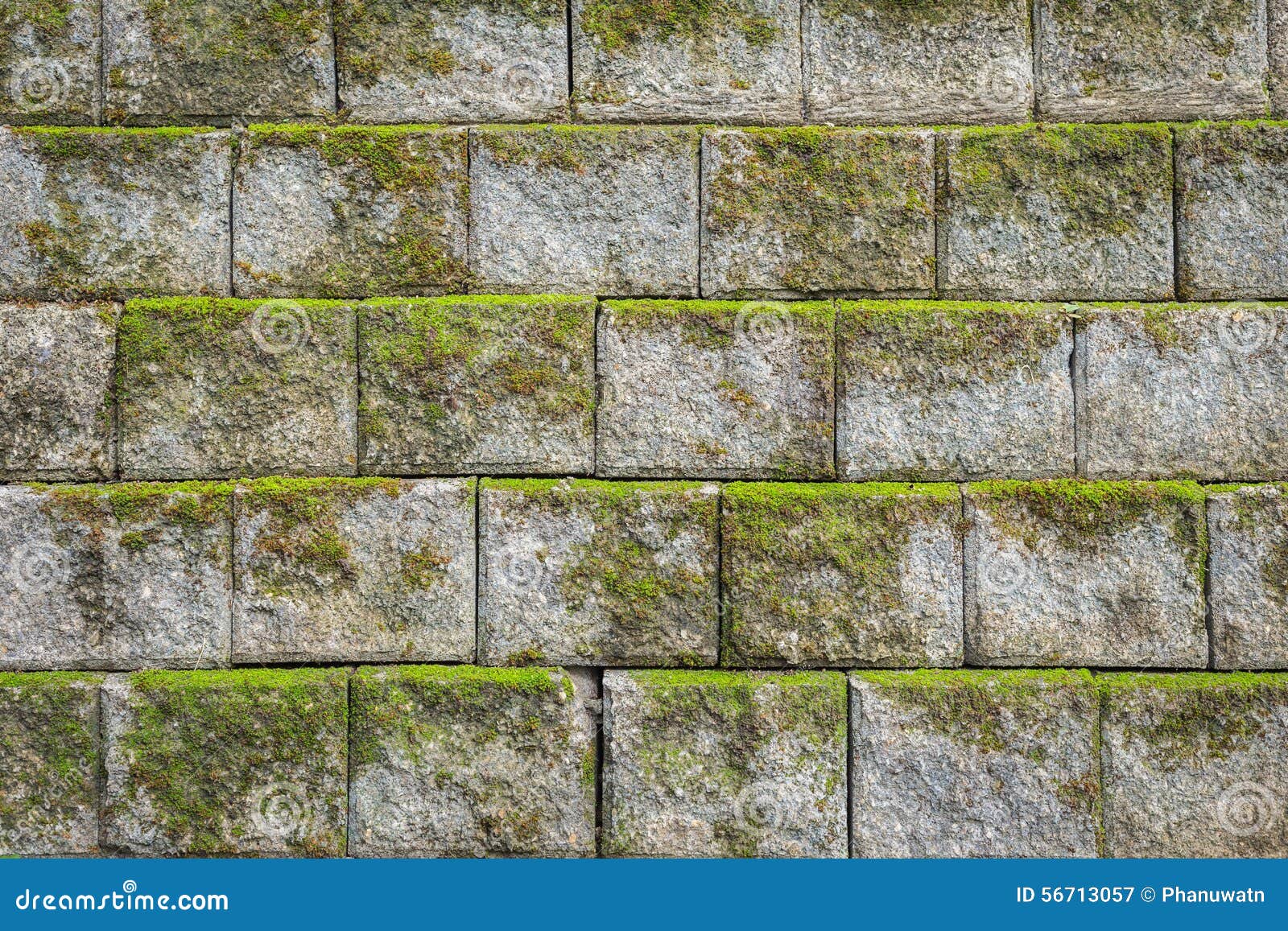 Moss On Stone Royalty-Free Stock Photography | CartoonDealer.com #110013611