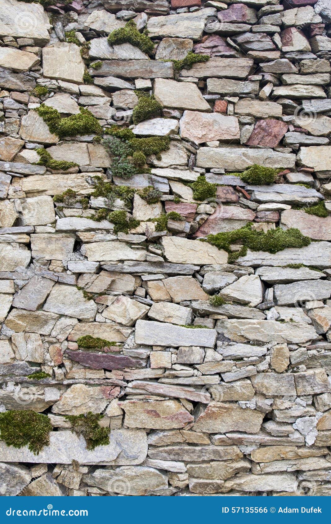 Stone Wall with Plants, Texture Stock Photo - Image of ceramic ...