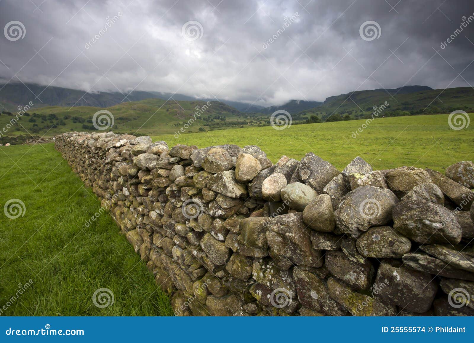 Stone Wall through Rural Field Stock Photo - Image of field, grass ...