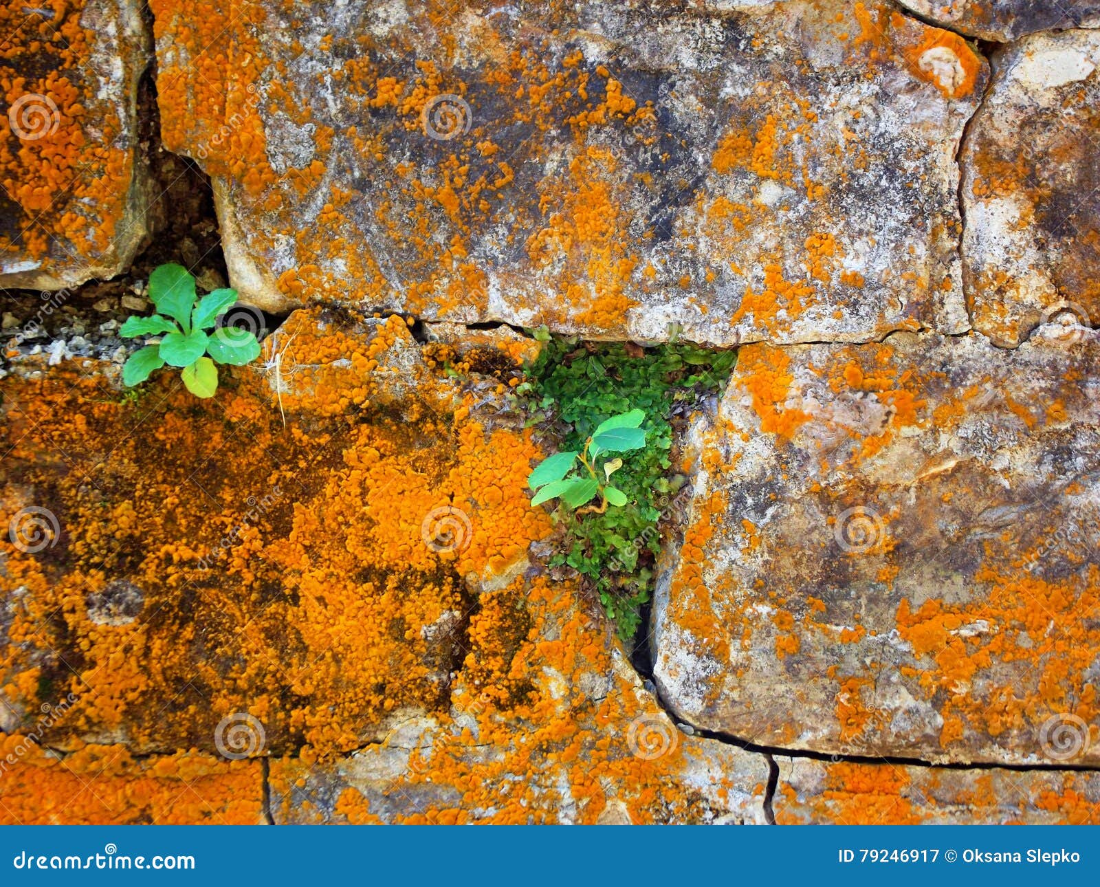 Stone Wall with Rust, Grunge Texture Stock Image - Image of background ...