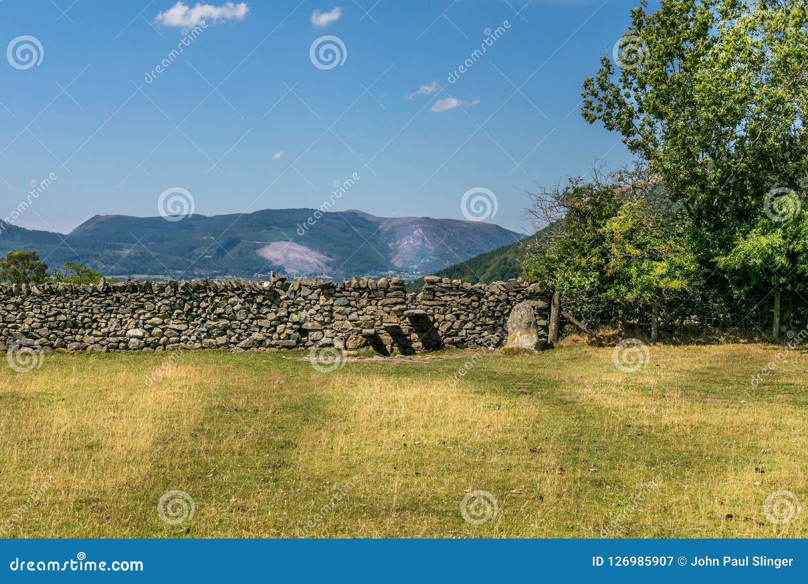 Steps Built Into A Slope Or Dig Up On A Hill. Stairs In Sloping Ground ...