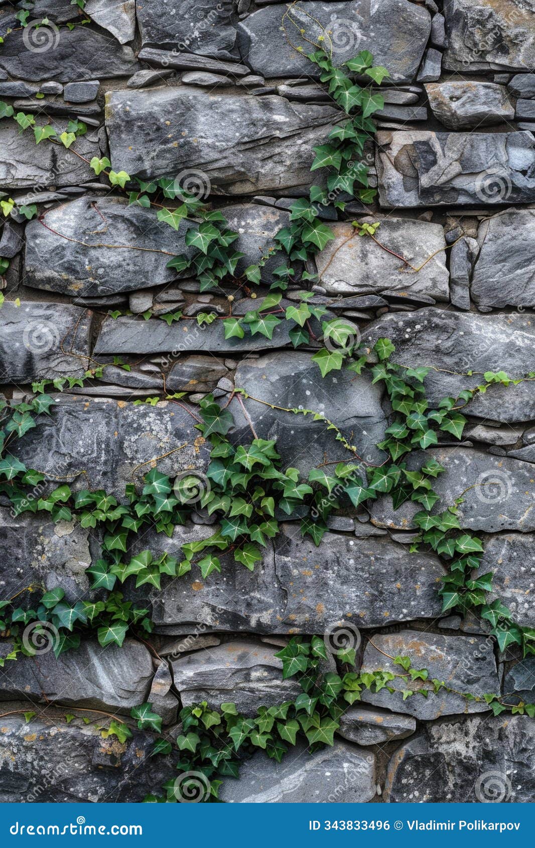 A Stone Wall Surrounded by Lush Greenery Stock Photo - Image of stone ...