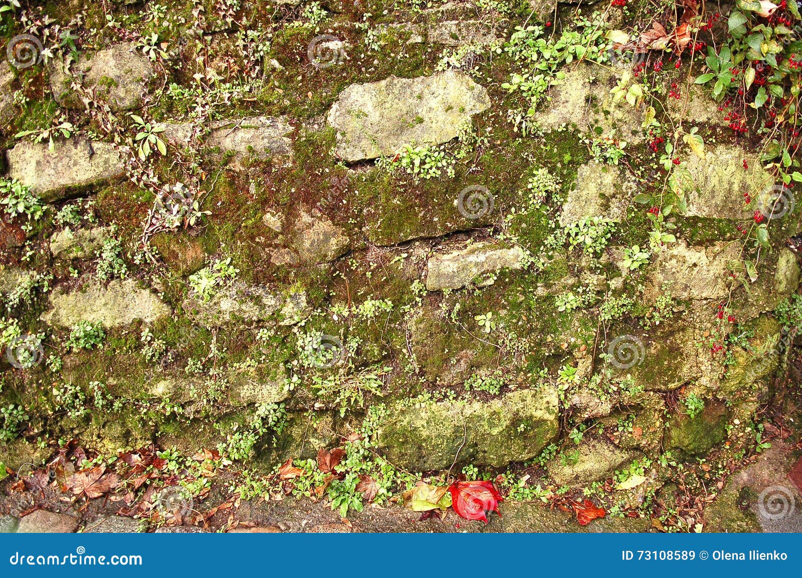 Stone wall texture stock image. Image of overgrown, lichen - 73108589