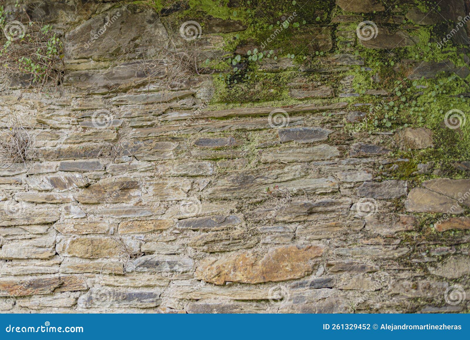 Stone Wall Texture With Vines Falling From The Top Royalty-Free Stock ...
