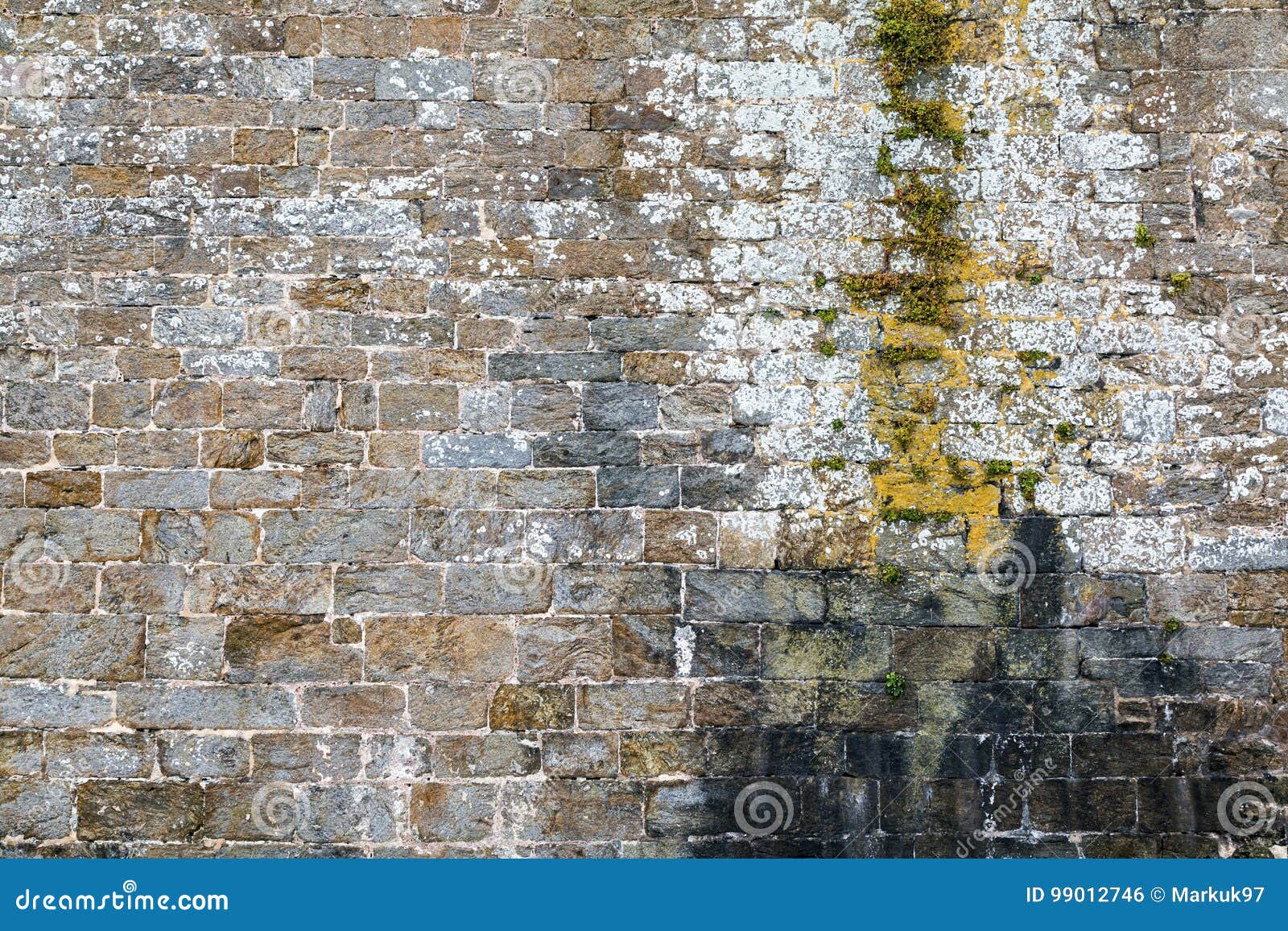 Stone Wall Texture with Water Damage and Moss Stock Photo - Image of ...